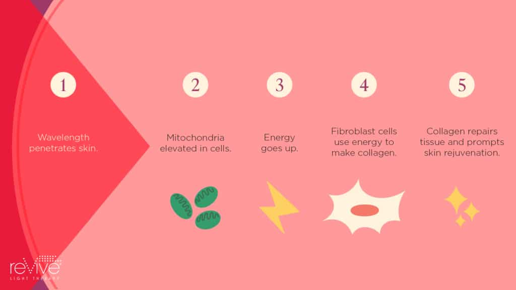 The Science Behind LED Light Therapy and Skin Rejuvenation