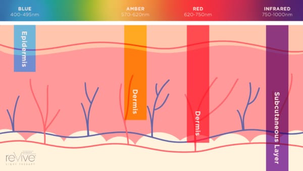 Light Therapy | How It Works | reVive Light Therapy™